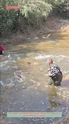 How to Net Fish in a Pond | Fishing Basics