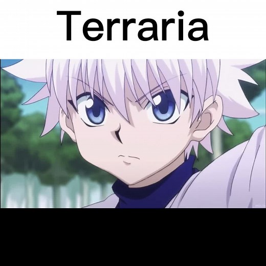 Terraria and Hunter x Hunter Meme Compilation