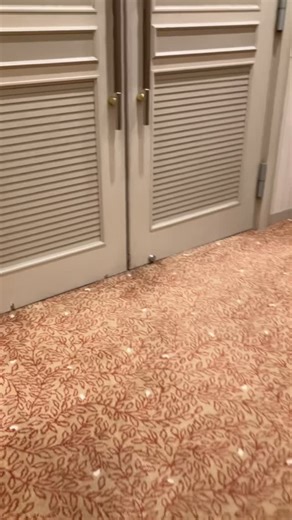 akiko ootake on Instagram: "ケンハラクマ先生成田WS✨ 自分を超える3日間ヨガ合宿 @kenharakuma 先生とヨガ三昧✨ @yoriko_naritayoga よりこさんオーガナイズ✨会場は @narita_gateway_hotel_official 金曜、夜7時からスタート ヒーリング&快眠ヨガ、瞑想 2日間とも朝５時からマイソールスタイルのヨガ、呼吸法 朝食ブッフェ✨美味しい😍✨ メンバーとの交流も😃 10時からは両日 瞑想集中講座！！ ケン先生から直接 座り方、意識のあり方などの アドバイスをいただき実践❣️ それぞれ自分にとっての瞑想を つかんだ！またはつかむ道のりを進めたのでは😊 最後の30分は、あっという間で、もっとこのまま座り続けたい感覚に✨ 2時半からは ポーズの深め方＆アジャストメント ケン先生のアジャストメントの講座は、会場のあちこちで、 おーっ❣️という声😃 笑顔たっぷり学びも深い！ 講座の間も楽しいおしゃべり✨ 情報交換❣️ ケン先生は休み時間に参加者の身体の不調をケア🍀関節の動かし方などのアドバイスも❣️ こういう