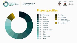 Are you a Developer, Asset Owner or Entrepreneur with a project to pitch to investors, partners and offtakers? From 3 - 5 September 2024 in Windhoek, Namibia, the Global African Hydrogen Summit will host the Project Investment Roundtables, which are designed to accelerate deal-making to financial close in sectors spanning Hydrogen, Renewables, Power, Water, Agriculture, Heavy Industries, Mining, Infrastructure, Transportation, and Mobility. As a green energy project Developer, we invite you to g