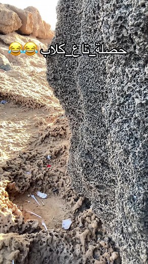 Wail Hamatou sur TikTok