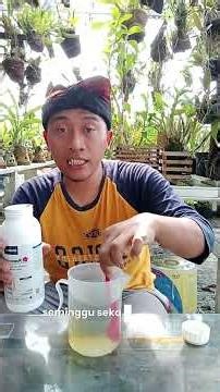 Power Flower fertilizer to stimulate plants to flower quickly (Order W4-O81294311417)