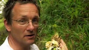 The Story of Science: How Did We Get Here? (3 of 6)