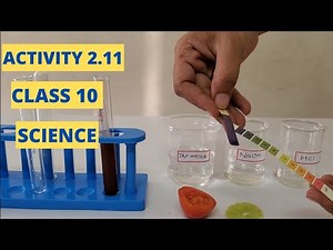ACTIVITY 2.11 ll CLASS 10 ll SCIENCE ll CHAPTER 2 ll NCERT ll ANKITA MAM