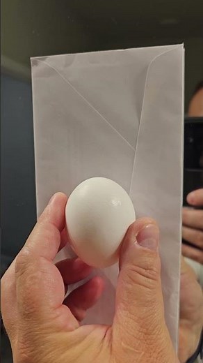 Mirror Magic: The Amazing Egg Reflection Trick #ScienceExperiment