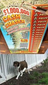 Cash Chaser Scratch Lotto Ticket