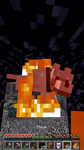 save the dog #minecraft #minecraftmemes #gaming