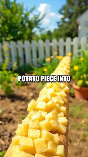 DIY Potato Cannon Experiment