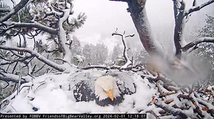 279K views · 27K reactions | Jackie’s rules… It wasn’t until...