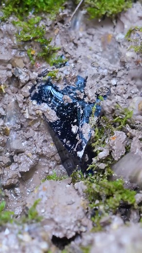 I am digging gemstones in the mining area2 #diamonds #crystal #gold #emeralds #pearl #gems #gold | Diamond Hunter