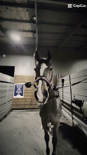 I will never cru over a boy except kenny