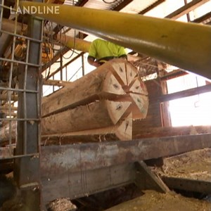 A new milling technique is delivering enormous advantages over existing methods, able to cut small, low-value logs into useful timber. See the story on Sunday at noon! | ABC Landline
