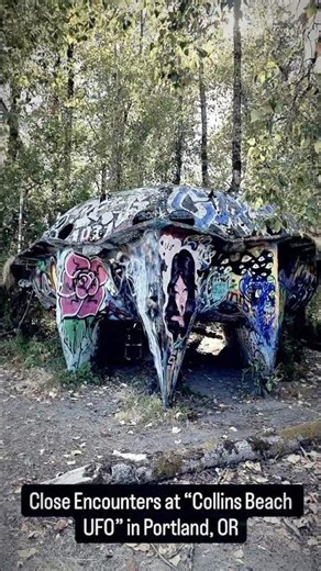Collins Beach UFO 🛸🌲 Quirky Hidden Gem in Portland, Oregon