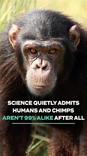 A Top Science Journal Finally Confirms The 99% DNA Myth #Chimps #Humans
