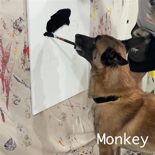 317K views · 8K reactions | As promised.. A special treat for our group members, part one a new Monkey painting and you get to see step by step on real time. comment and tell us where you are from an d tell friends to join us. Thank You Omar and monkey | Omar and Monkey | Facebook