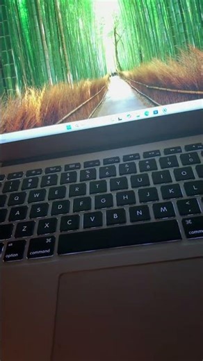 Running Windows 11 Home Edition 25H2 on a 12 year old MacBook Air