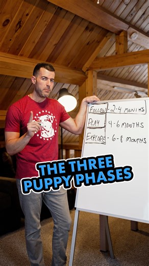 186K views · 4.7K reactions | The 3 stages of puppy development are...