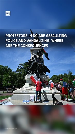 4.3K views · 78 reactions | Why are these protesters not being arrested? #america #2024election #trump #biden #republican #democrat #trump2024 #joebiden #conservative #liberal | The Tea Party Community by WJ | Facebook