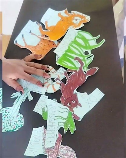 science tlm, Food Web