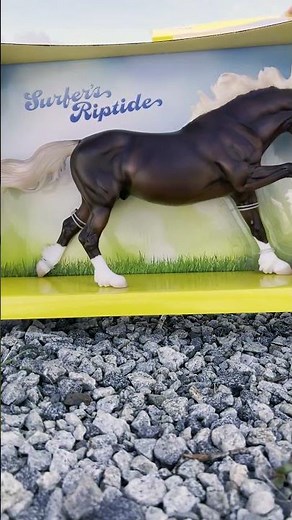 Unboxing Surfer's Riptide, Famous Chincoteague Pony Stallion 🌊 | Breyer Model Horses