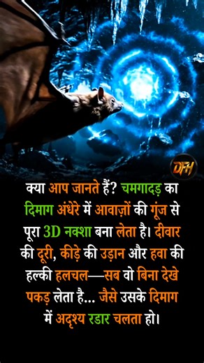 When Darkness Becomes a Map 🌑 #ScienceFacts #NatureMystery #DarkKnowledge #MindBlowingFacts #AnimalScience | Dark Facts Hub