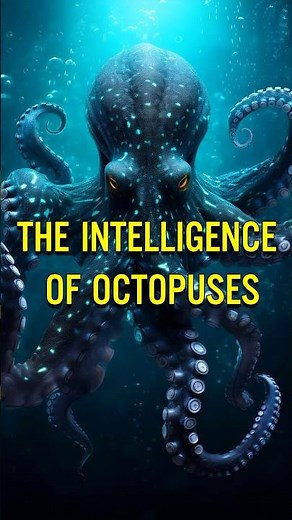 The Intelligence of Octopuses