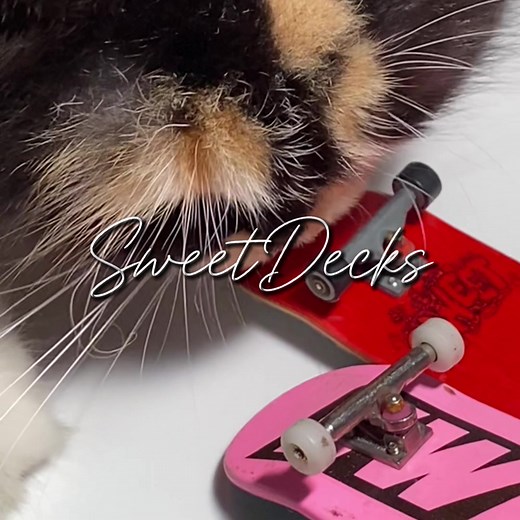 only love #fingerboard #fingerboarding #fingerskate #vantruot #skate #fyp