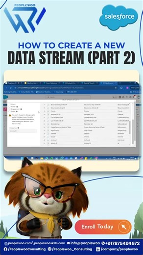 #salesforce #datacloud #datastream #customer360 #peoplewooskills | Peoplewoo