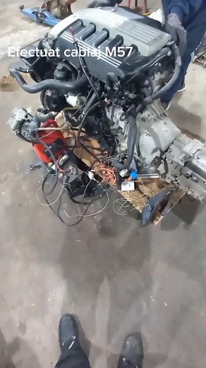 Markus Onghert pe TikTok