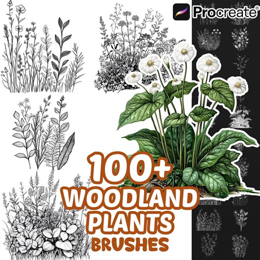 Procreate Woodland Plants Brushes, 100  Woodland Plants Procreate Stamps, Nature Procreate, Forest, Trees, Plant, Leaves Procreate, Woodland - Etsy