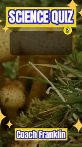 62K views · 1.1K reactions | SCIENCE QUIZ SCIENCE GENERAL KNOWLEDGE SCIENCE GENERAL EDUCATION SCIENCE GENERAL INFORMATION #GK #GENED #GI #SCIENCE #NOCOPYRIGHTINTENDED | Franklin - Online LET, CSE, IELTS & Celpip Private Tutorial | Facebook