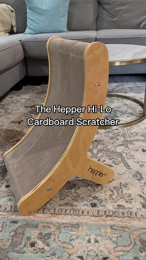 We are loving this modern Amazon cat find #cats #amazonfind | kuzcopluscleo