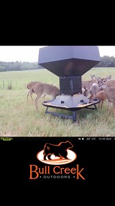 Reveal Tactacam Cameras, Monarch Feeders, and Rack Attract have the deer primed and ready for deer season. Bull Creek Outdoors has stock and we are ready to help you be successful with your hunt. Hurry in before Youth Season opens and be ready for that hunt. Monday – Friday 7:00-5:00 #bullcreekoutdoors #bullcreekdifference | Bull Creek Outdoors