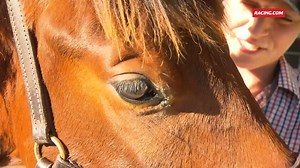 4.1K views · 49 reactions | "They're very powerful and athletic... I love when a stallion throws consistent stock, and he's doing that." The first progeny of Newgate Farm's Russian Revolution stepped out today at the Magic Millions Weanling Sale. | Racing.com | Facebook