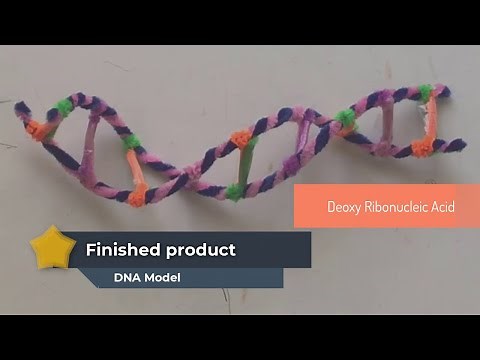 DNA MODEL USING PIPE CLEANERS
