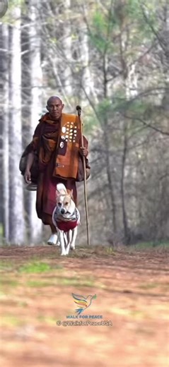 walk for peace 🥰#walkforpeace #ctwnmuser🇳🇵💞 #viralvideo #fy #nepalimuser