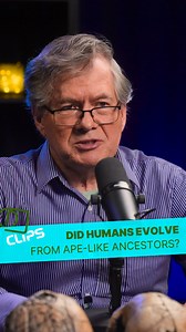 Did humans evolve from ape-like ancestors? | Creation Ministries International