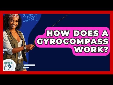 How Does A Gyrocompass Work? - Chasing Big Fish