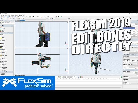 FlexSim 2019: Bone Editing + Visuals