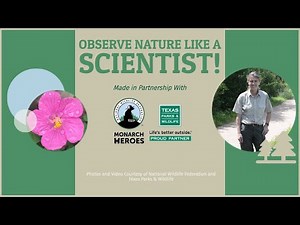 Observe Nature Like a Scientist!