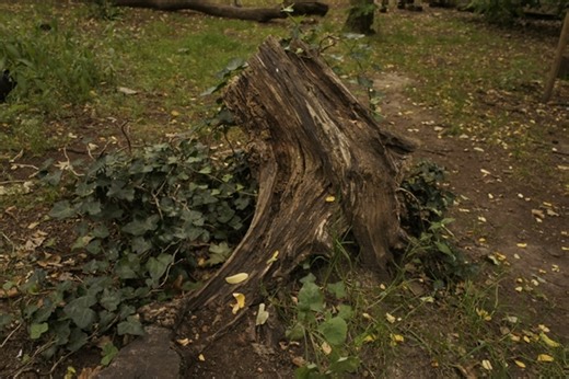 Free360: Layered Gaussian Splatting for Unbounded 360-Degree View Synthesis from Extremely Sparse and Unposed Views