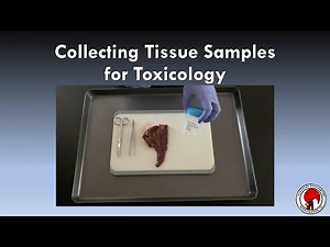 Collecting Tissue Samples for Toxicology