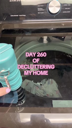 Decluttering My Home: Day 260 of Organization Journey