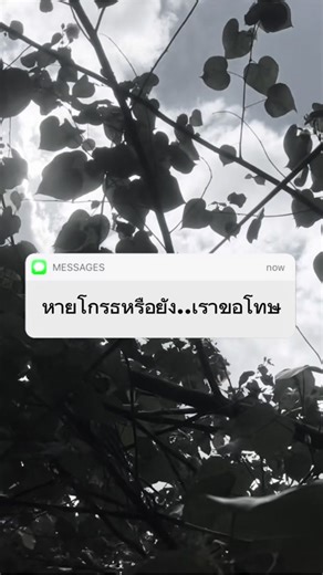 new message บน TikTok