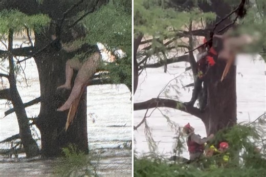 Woman found clinging to tree branch, screaming for help after being swept 20 miles downriver in raging Texas floods