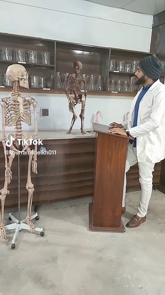 Understanding Laboratory Presentations in Science Education