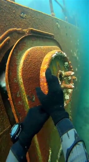 Security Cam: Diver Opens Rusted Ship Door and Is Attacked by a Shark