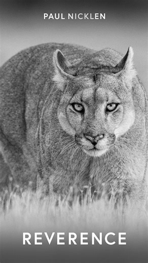 41K views · 1.3K reactions | A little behind-the-scenes look at the...