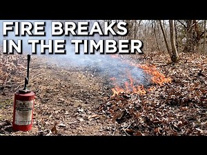 How to Properly Create Fire Breaks in the Timber | Prescribed Fire