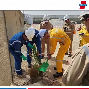 10K views · 716 reactions | Descon Engineering Limited (DEL) held a...